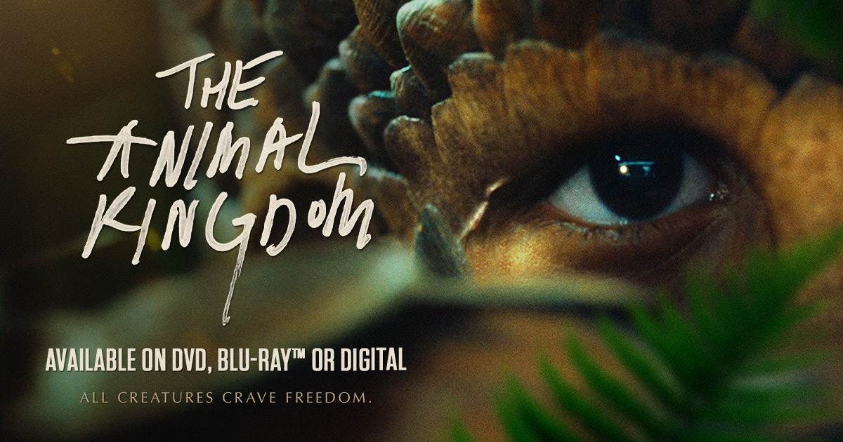 The Animal Kingdom | A Magnet Releasing and Magnolia Pictures Movie | Starring Romain Duris ...